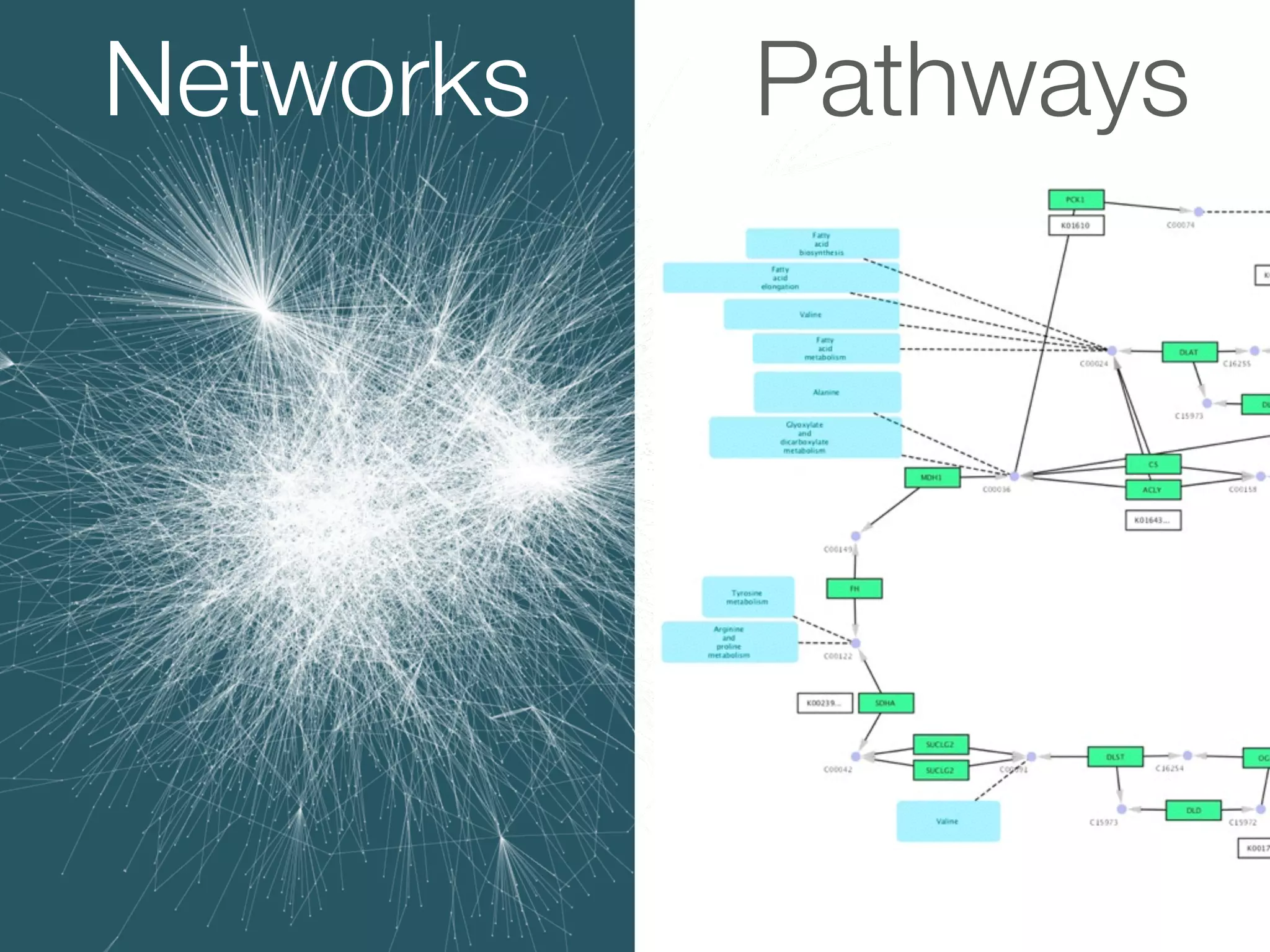 Introduction To Biological Network Analysis And Visualization With Cytoscape Part1 Pdf
