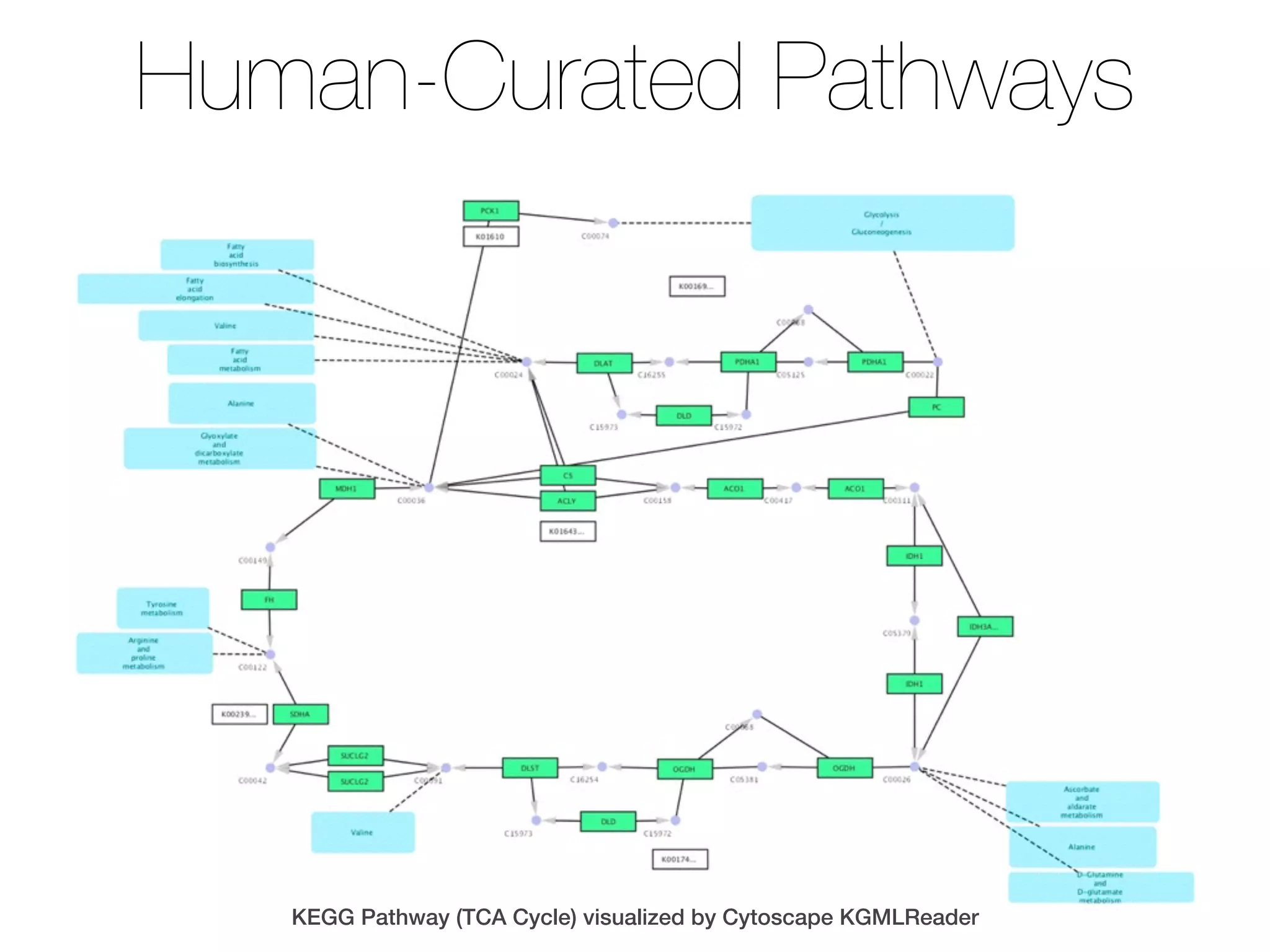 Introduction To Biological Network Analysis And Visualization With Cytoscape Part1 Pdf