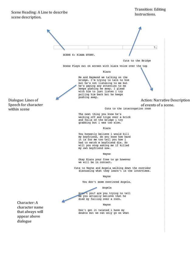 Script annotaions | PDF
