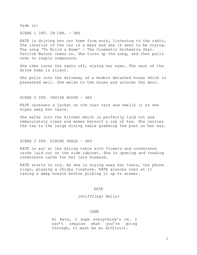 Script draft 2 | PDF
