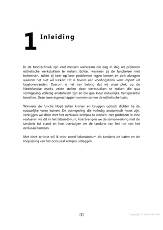 Scriptie Irmen de Vries | PDF