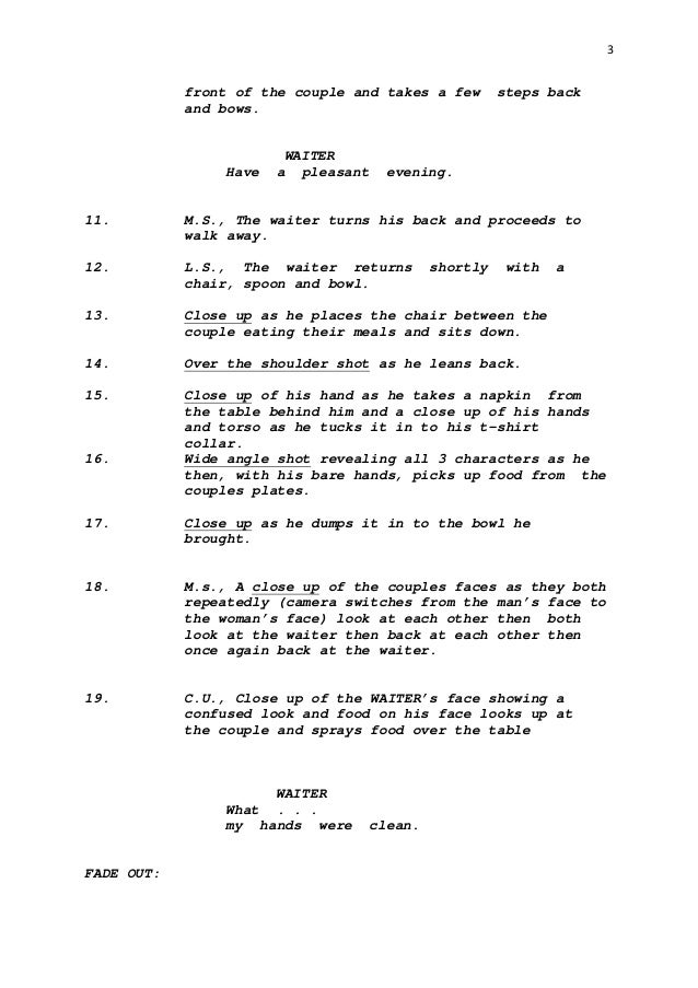 Script (shot) 3 in 1