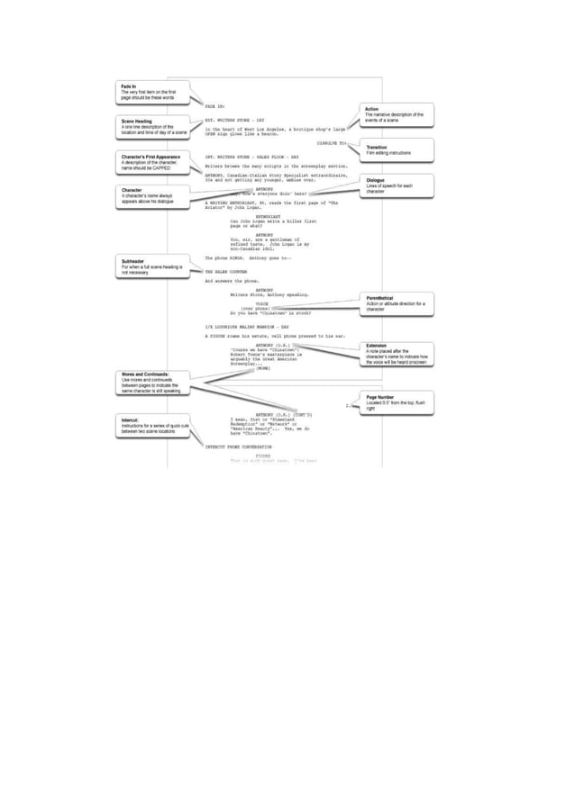 Script writing conventions 2 | DOCX | Fan Conventions | Events