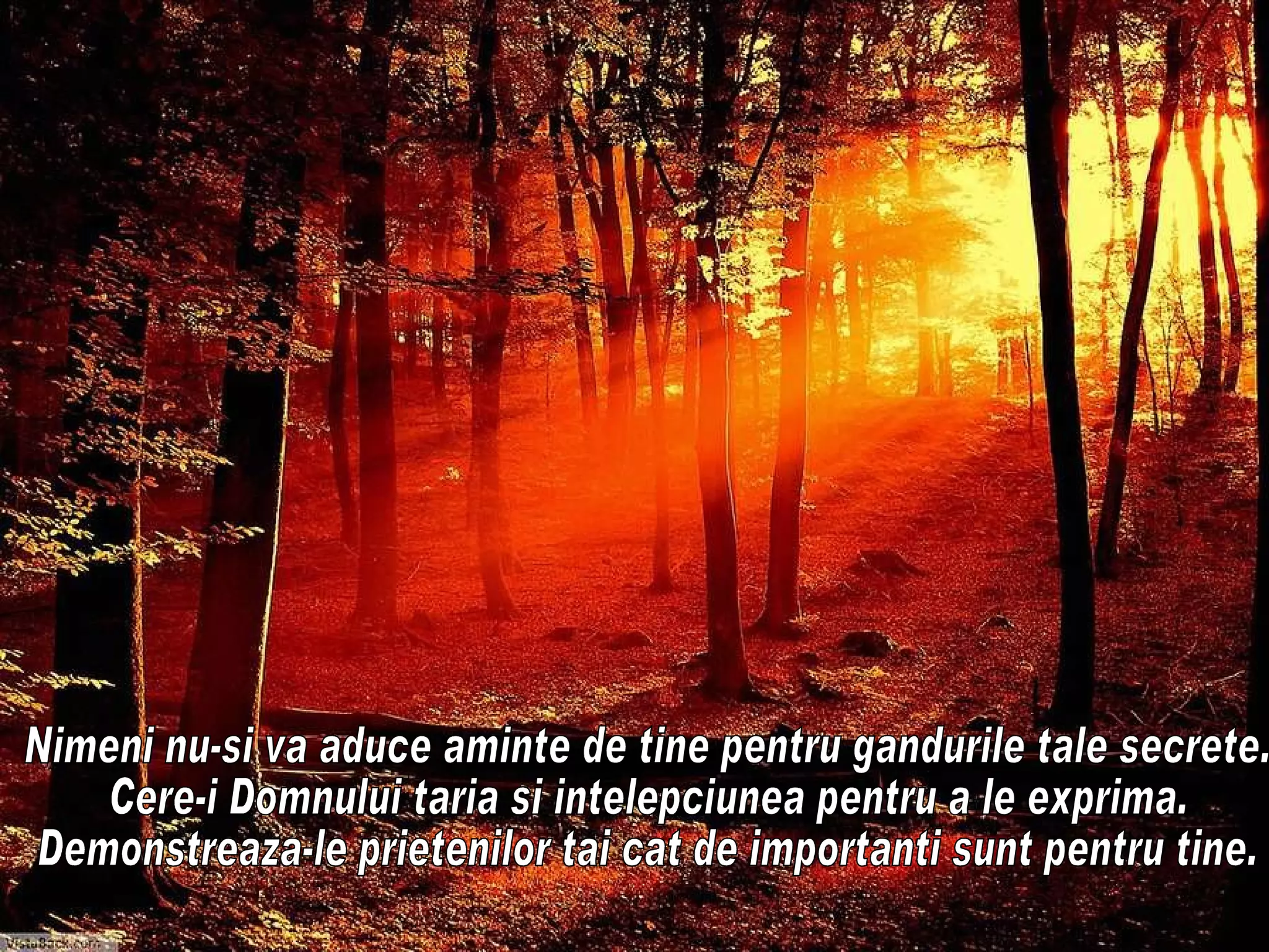 Gabriel Garcia Marquez - Scrisoare de ramas bun | PPT