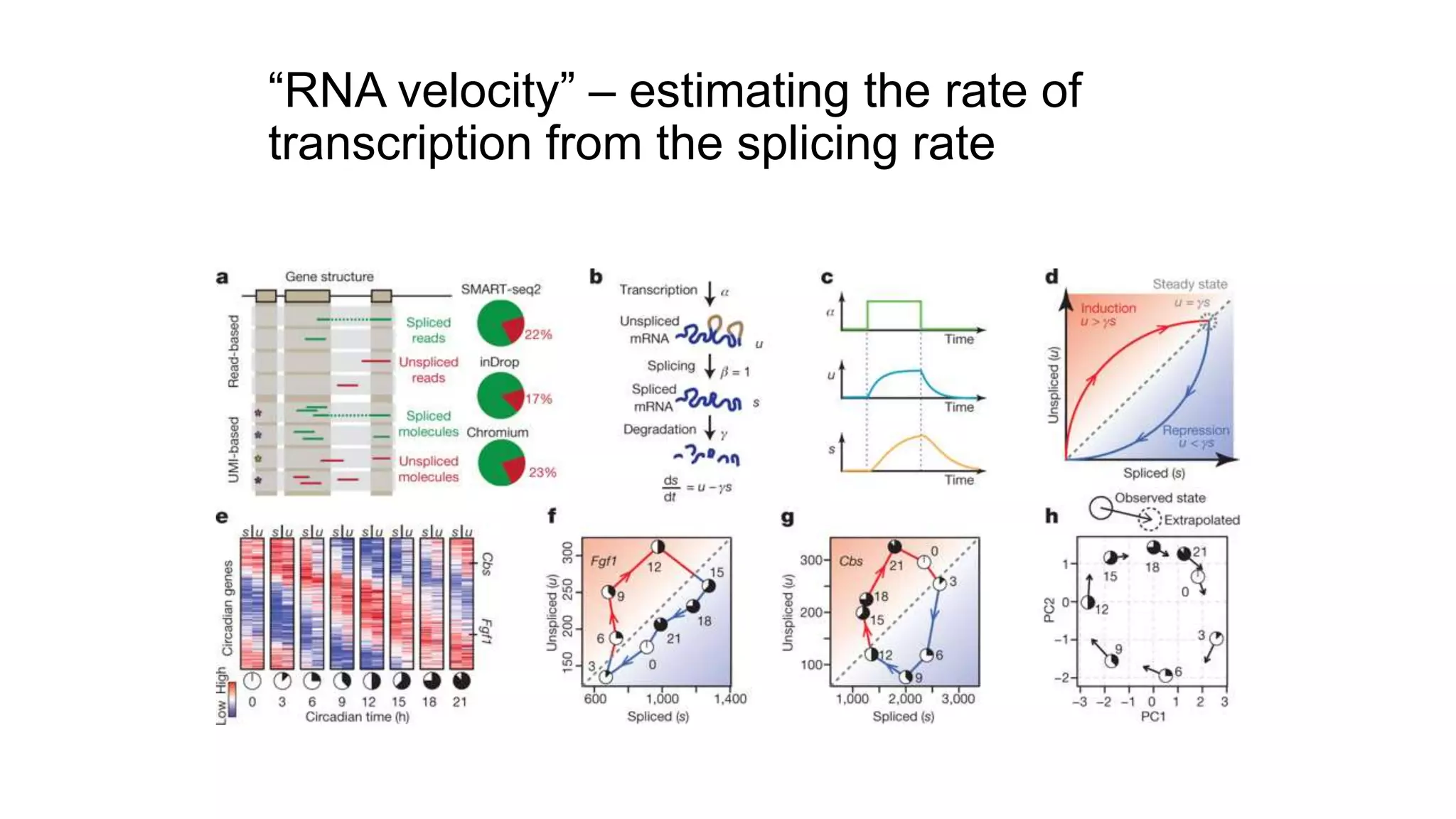 Single-cell RNA-seq tutorial | PPT