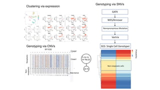 Single-cell RNA-seq tutorial | PPT