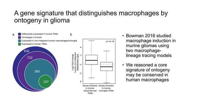 Single-cell RNA-seq tutorial | PPT