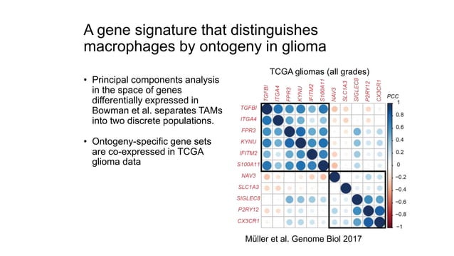 Single-cell RNA-seq tutorial | PPT