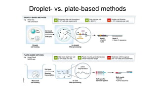 Single-cell RNA-seq tutorial | PPT