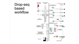 Single-cell RNA-seq tutorial | PPT