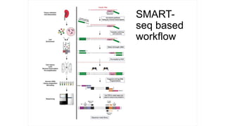 Single-cell RNA-seq tutorial | PPT