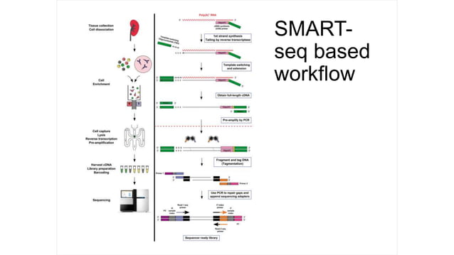 Single-cell RNA-seq tutorial | PPT