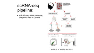 Single-cell RNA-seq tutorial | PPT