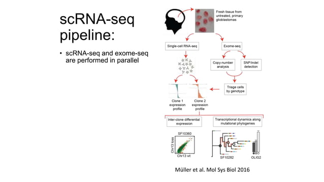 Single-cell RNA-seq tutorial | PPT