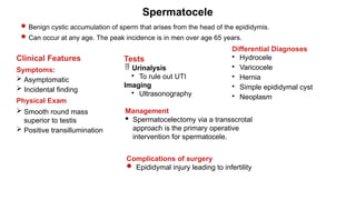 Scrotal contents disroders, congenital and acquired | PPTX