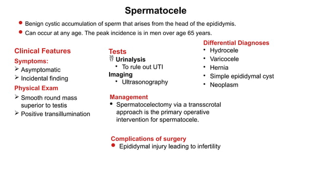 Scrotal contents disroders, congenital and acquired | PPT