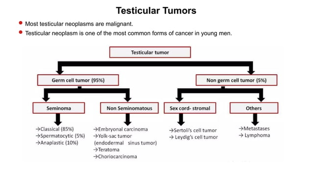 Scrotal contents disroders, congenital and acquired | PPT