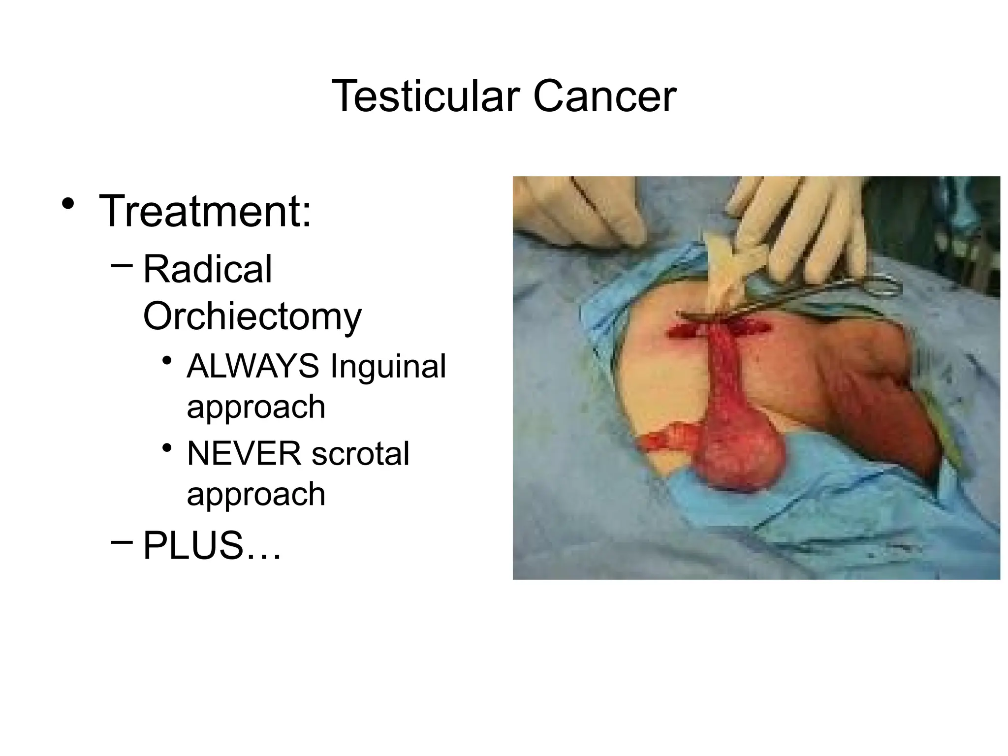 Scrotal-Masses during examinationss.pptx