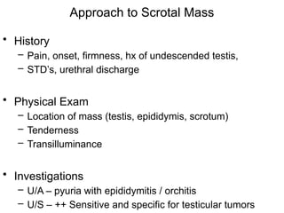 Scrotal-Masses during examinationss.pptx
