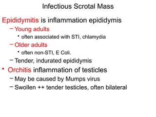 Scrotal-Masses during examinationss.pptx