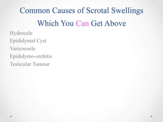 Scrotal-swellings.pdf