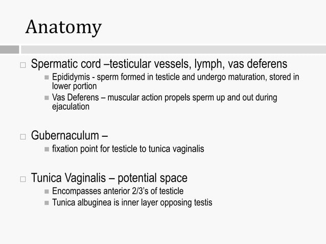 scrotal conditions .pptx | Infertility | Reproductive Health