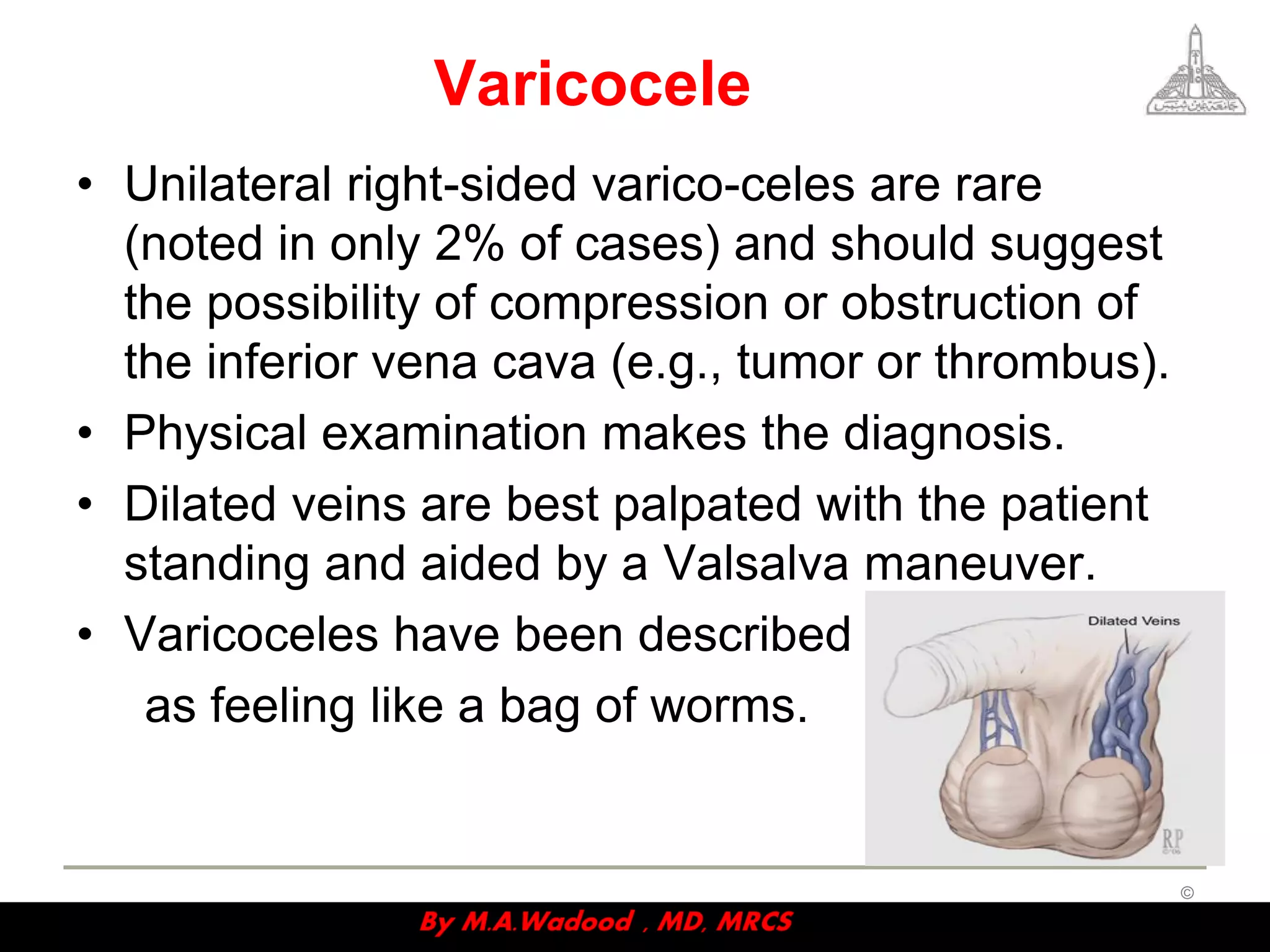 Scrotal disorders | PDF