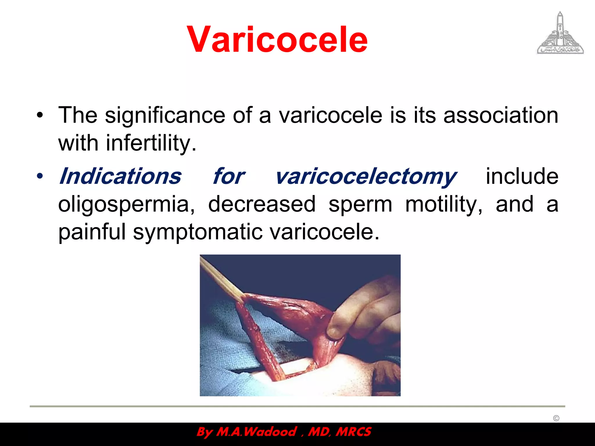 Scrotal disorders | PDF