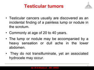 Scrotal disorders | PDF