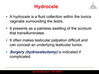 Scrotal disorders | PDF