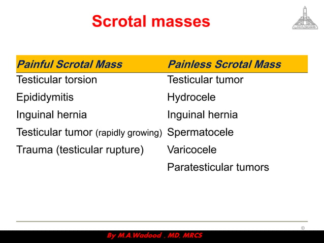 Scrotal disorders | PPT