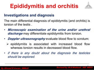 Scrotal disorders | PDF