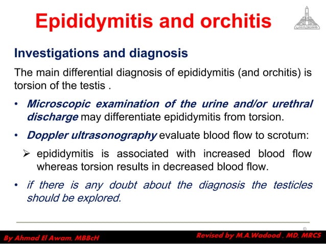 Scrotal disorders | PDF