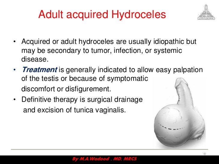 Scrotal Disorders