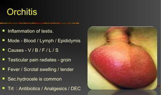 Scrotal disorders | PPT