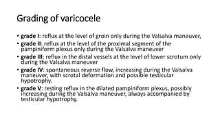 scrotal doppler | PPTX
