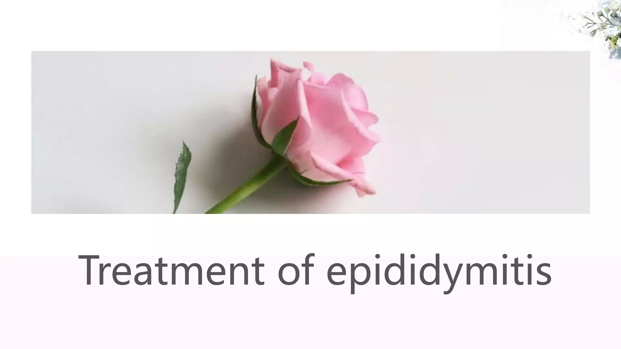 Scrotal Pain is A Symptom of Epididymitis.pptx