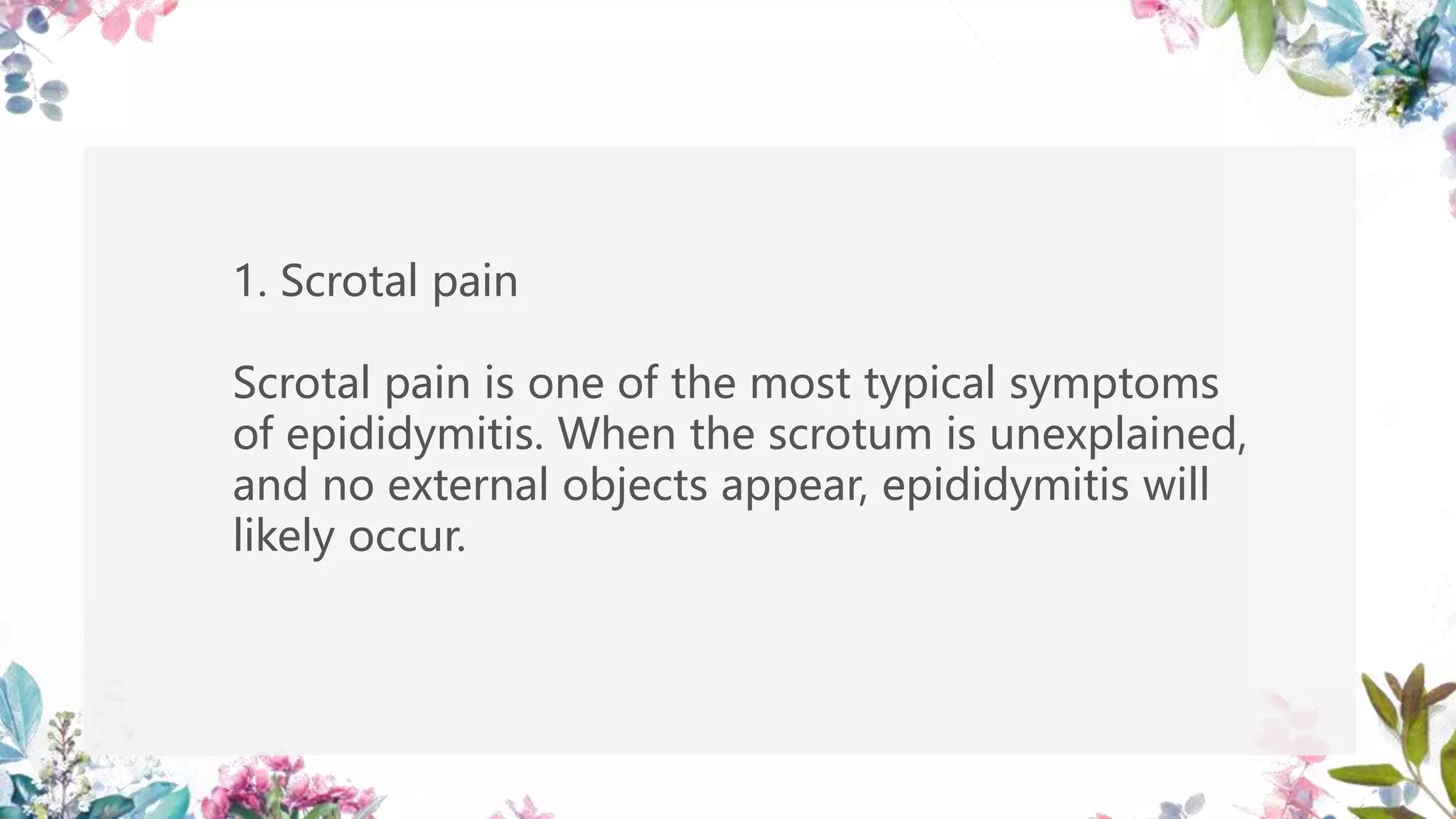 Scrotal Pain is A Symptom of Epididymitis.pptx