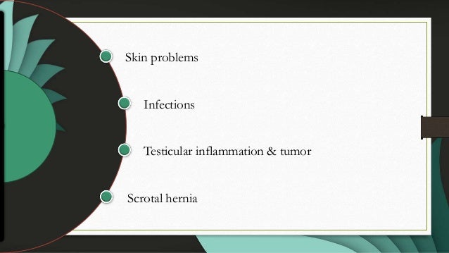 Scrotal Swelling
