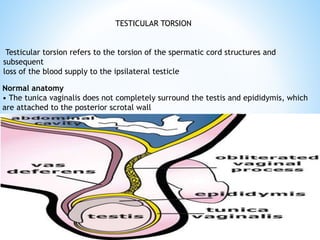scrotalswelling-220904185347-ef20b1de.pptx