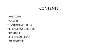scrotal swelling common causes of scrotal | PPTX