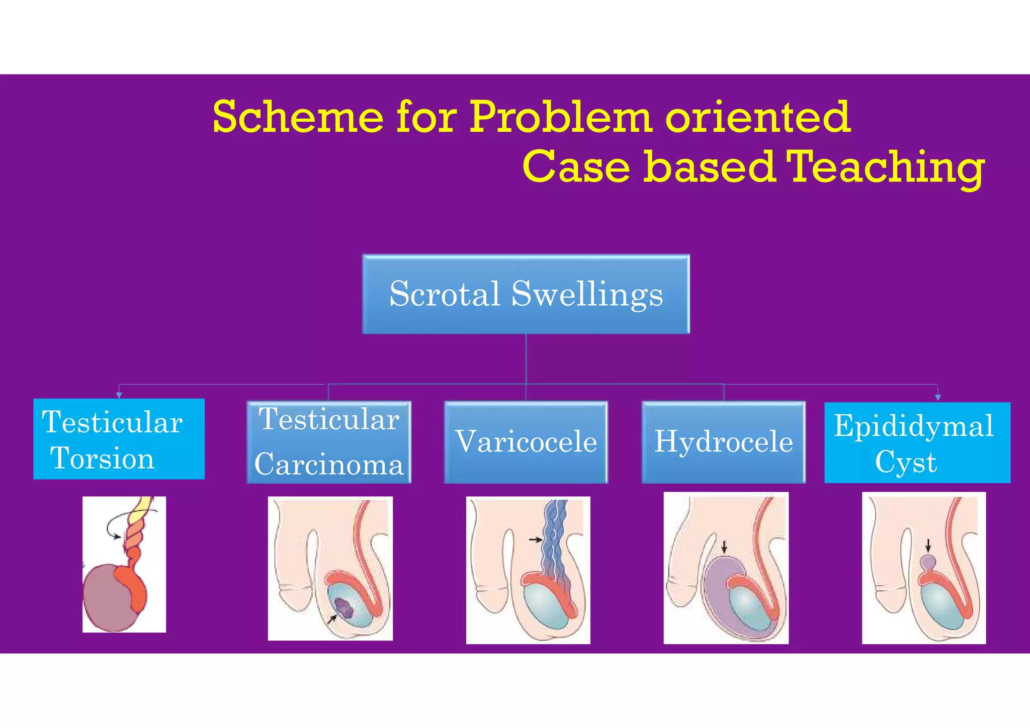 Scrotal swellings | PDF