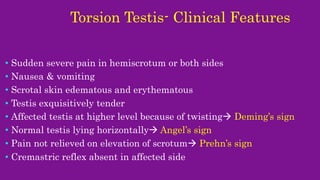 Scrotal swellings 2- Torsion Testis | PPTX