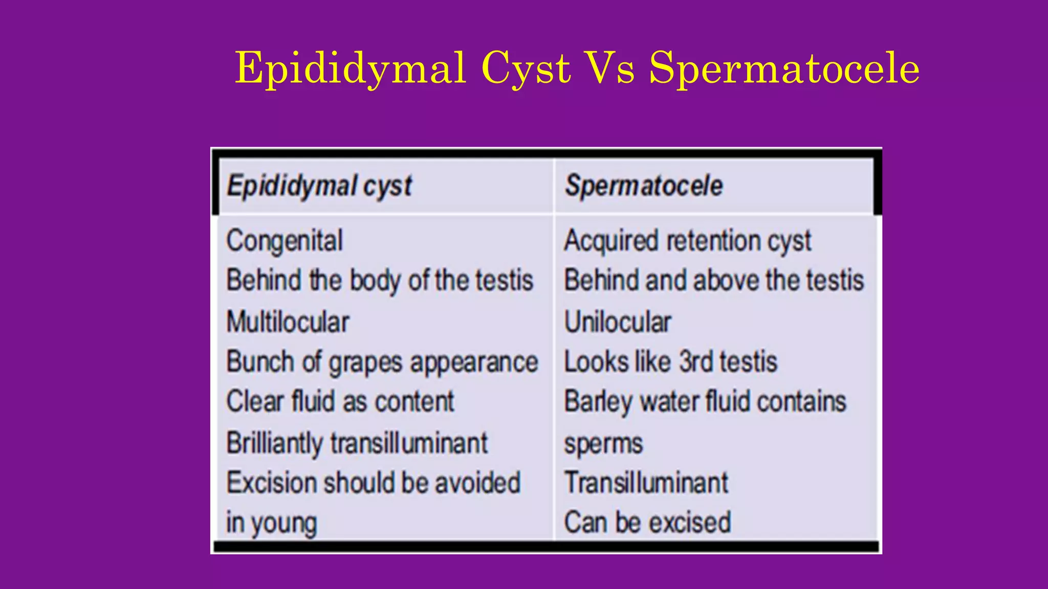 Scrotal swellings 3- Epididymal cyst | PPTX