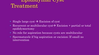 Scrotal Cyst Treatment