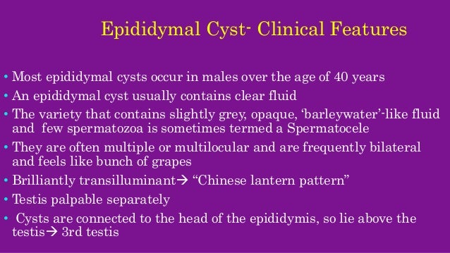 Scrotal swellings 3- Epididymal cyst