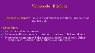 Scrotal swellings 4- varicocele | PPTX