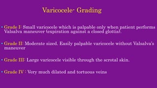 Varicocele Grade 4