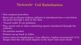 Scrotal swellings 4- varicocele | PPTX