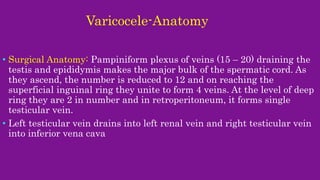 Scrotal swellings 4- varicocele | PPTX